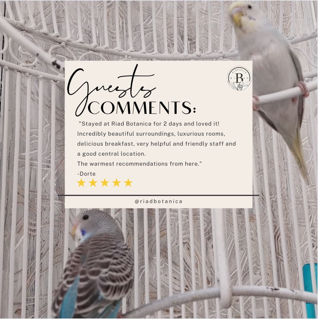 Something a little bit different - Riad Botanica